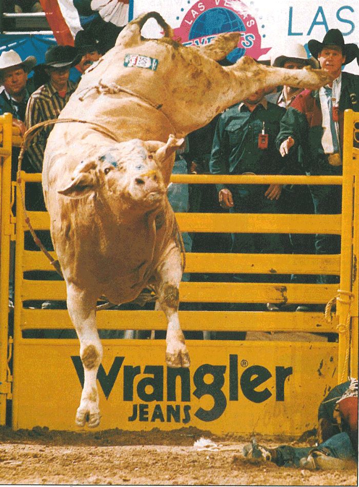 Cowboy Kisses: Bodacious