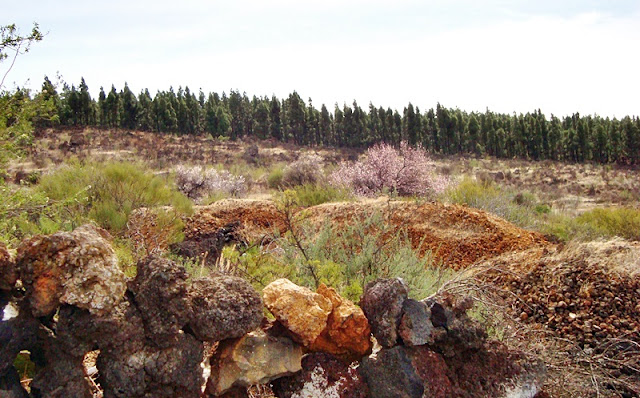 APRENDER A PROGRAMAR CON PYTHON: T1. A VUELTAS CON LA FUNCIÓN PRINT().