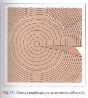Tucarpintero: Defectos de la madera