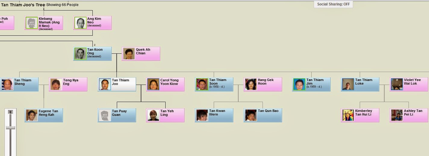 The Tan Family Malacca