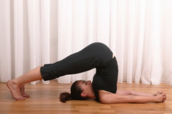 Finding Sam Breakstone: Finding (Some) Sam Breakstones