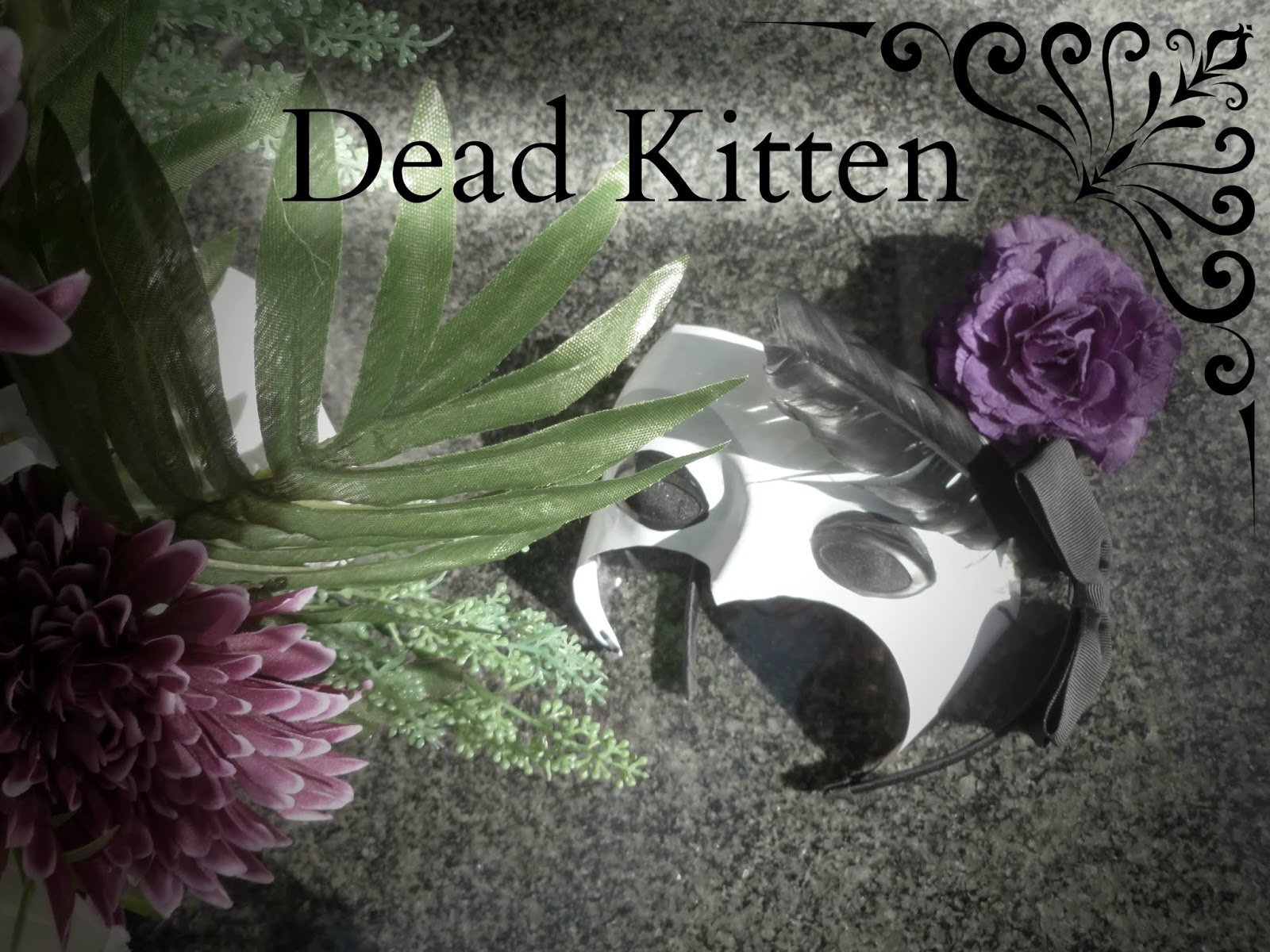 Fresas con Chocolate: Sesión de fotos 3 ♥ Dead Kitten