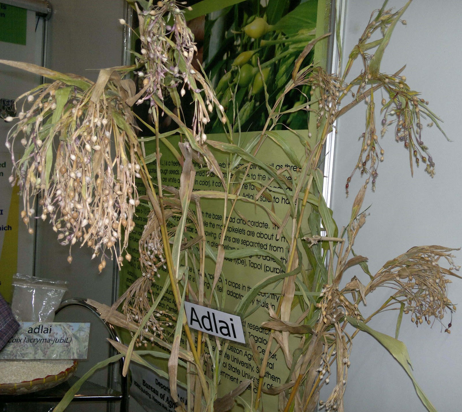 Fidel's Ismo: July 2012