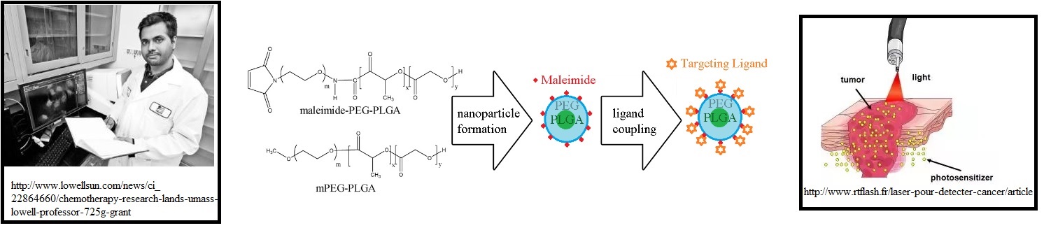 PolySciTech Technical Blog: Mal-PEG-PLGA and mPEG-PLGA from PolySciTech ...
