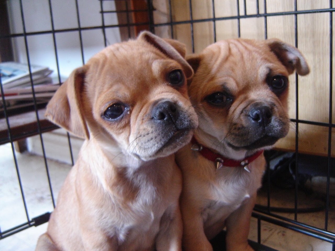 Ken's Bloggy Blog and Stuff...: Chug! Chug! Chug!...