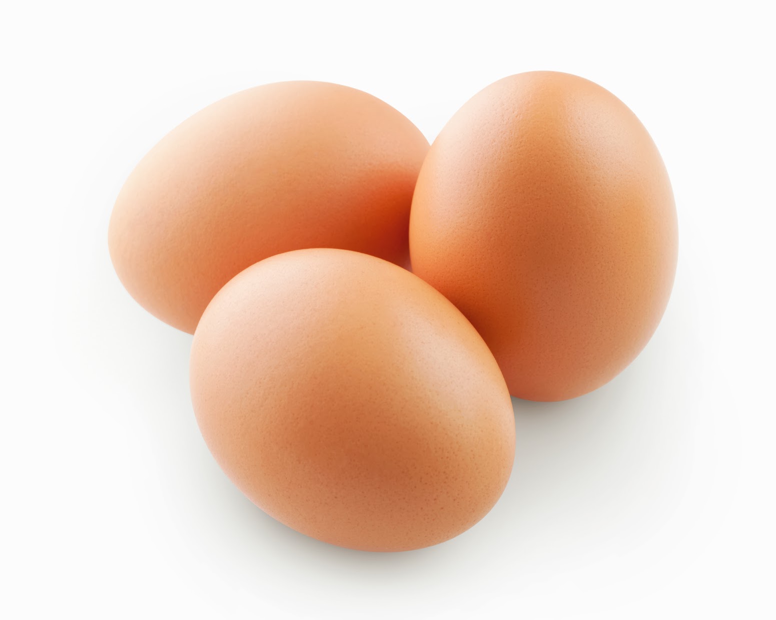 Top 5 Interesting Facts About Eggs 8FACT top-5-interesting-facts-about-eggs-8fact