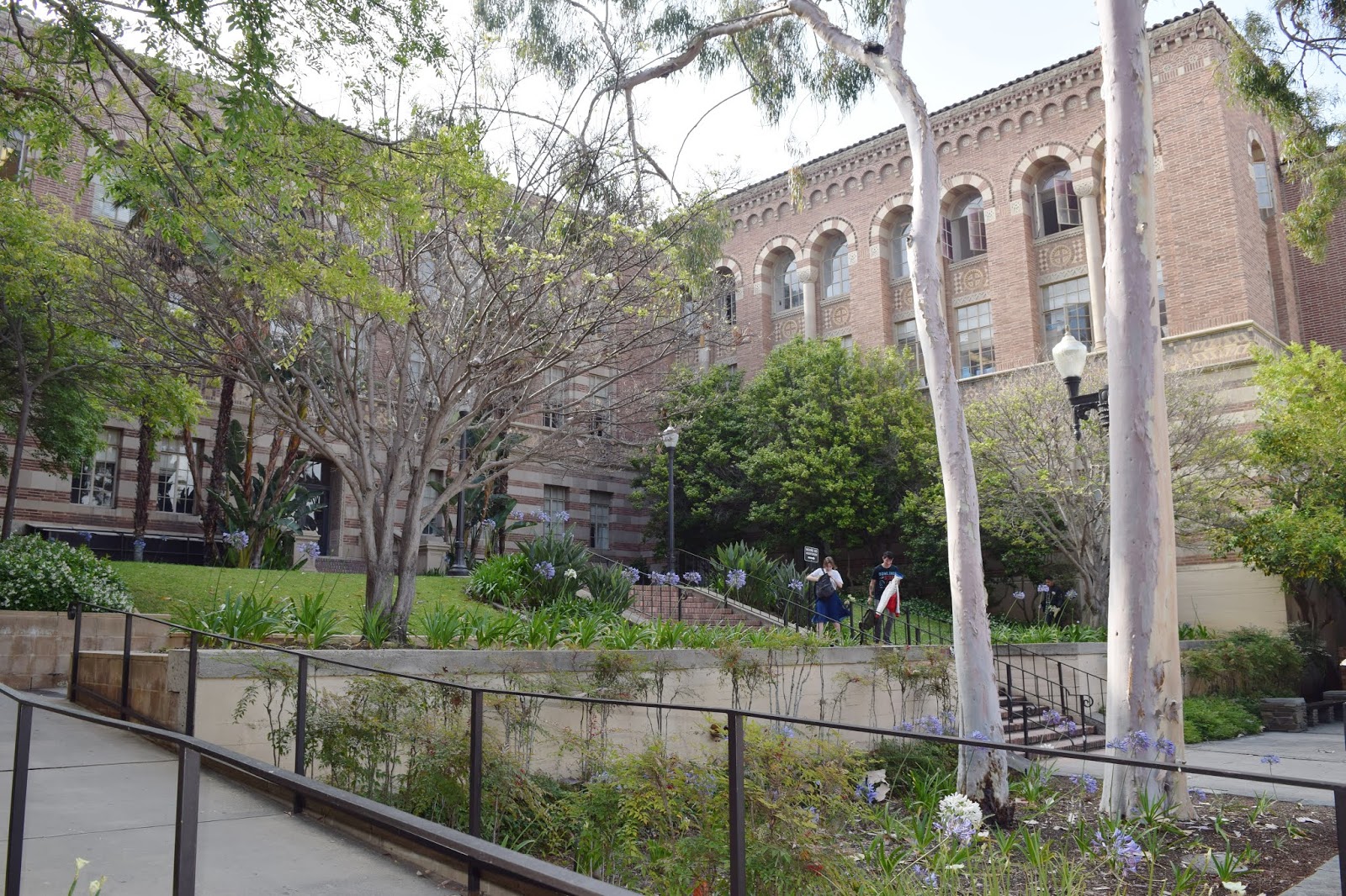 Travel for a Purpose: UCLA Campus around Election Walk Area