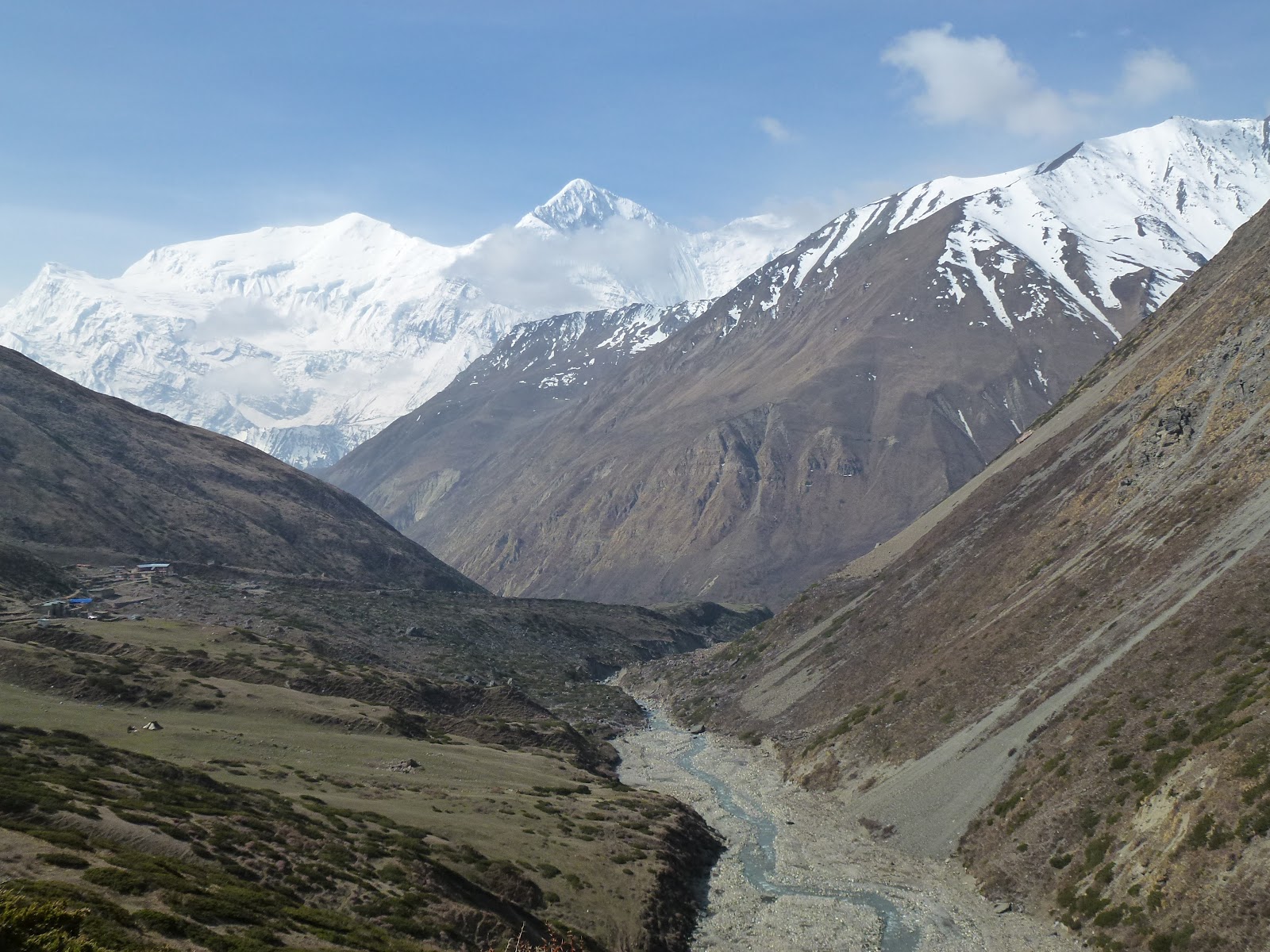 Annapurna Trek 2012: Day 10 Yak Kharka to Thorung Phedi