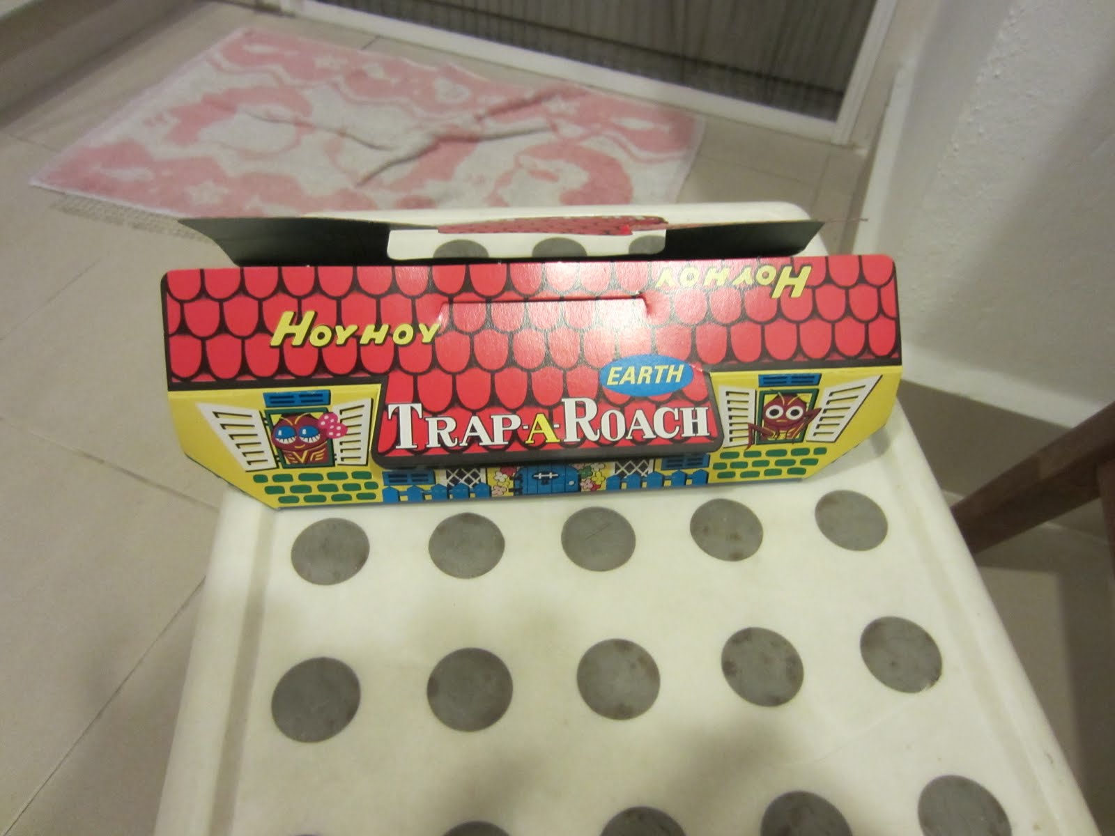 Lizards And Roaches Trap – HEALTH FREAK MOMMY