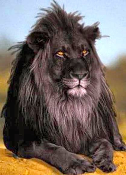 Mitoslavia: Przyczynek do chronologii