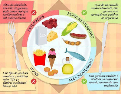 Química Higiene e Sustentabilidade: Tipos de gordura.
