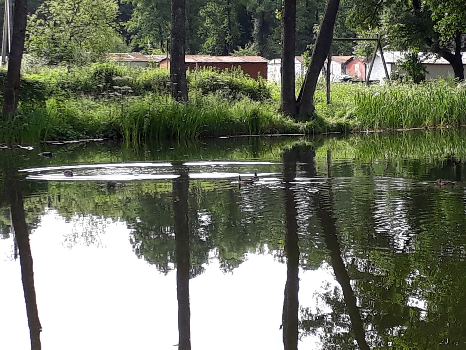 Mano Lietuva: Po Vilniaus apylinkes. Baltoji Vokė ir Vaidotai