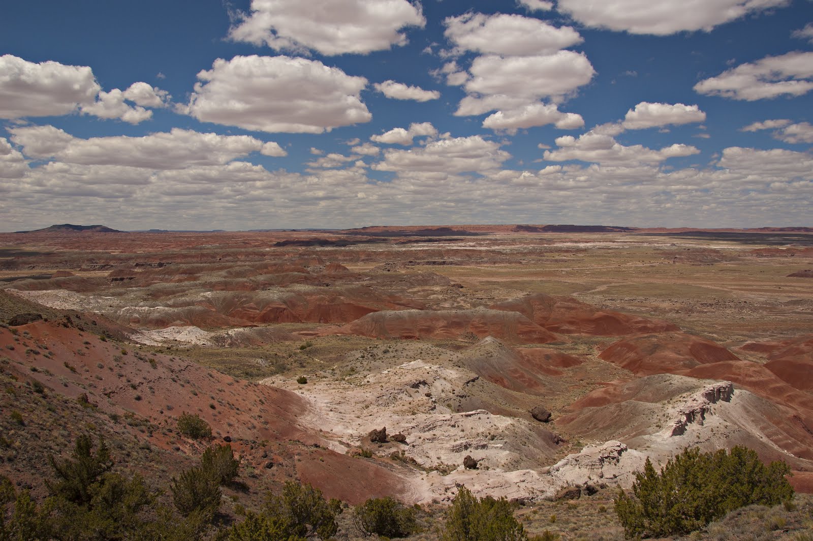 Radzfoto Blog: Painted Desert, June 13, 2010
