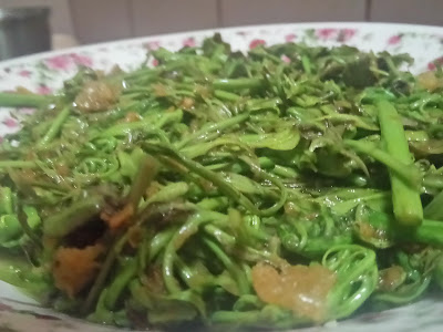 Beautiful Lie in a Beautiful Life: Sayur Midin