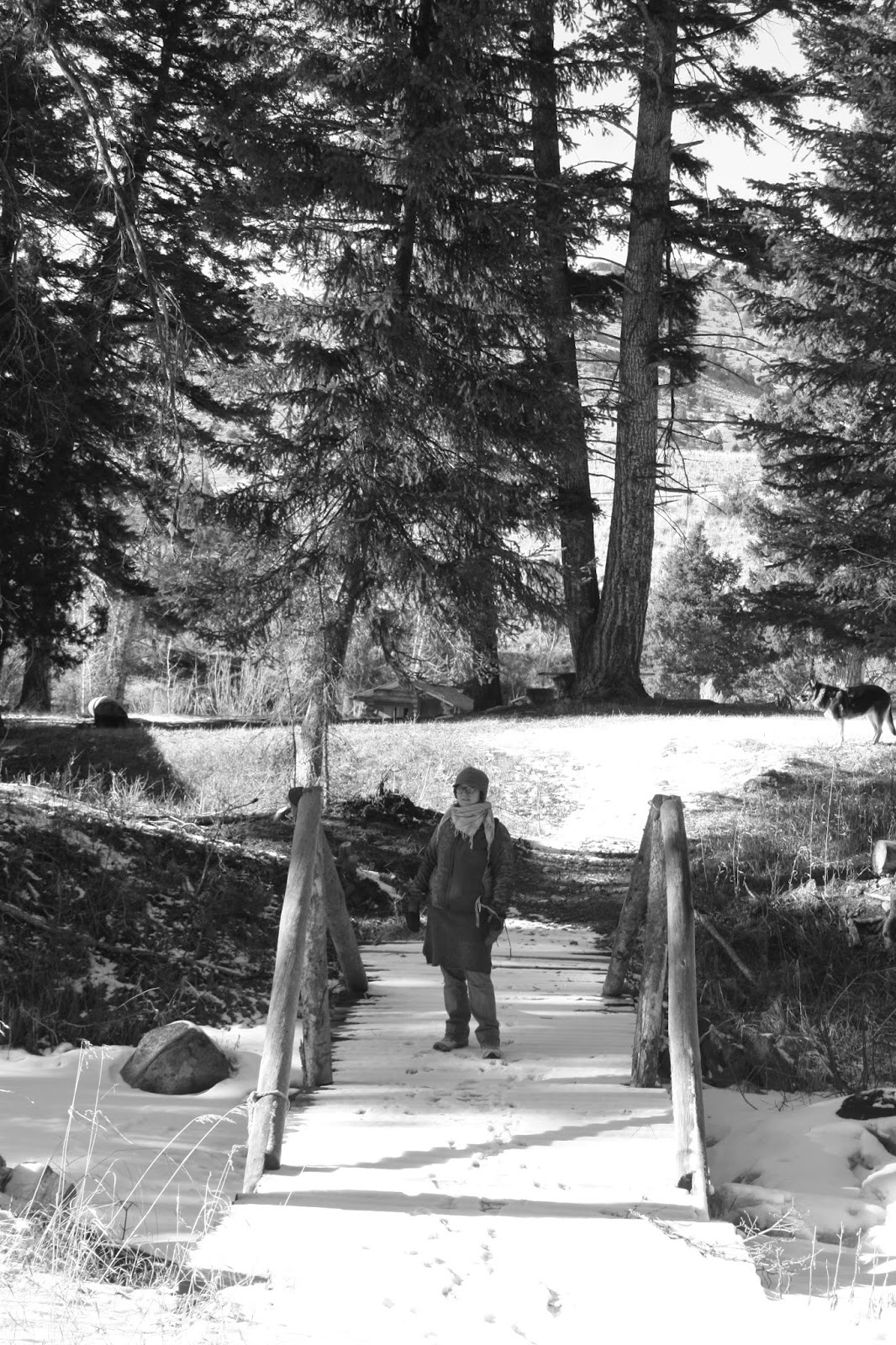 Greater Yellowstone Guru: OTO Ranch Entrance Revamp
