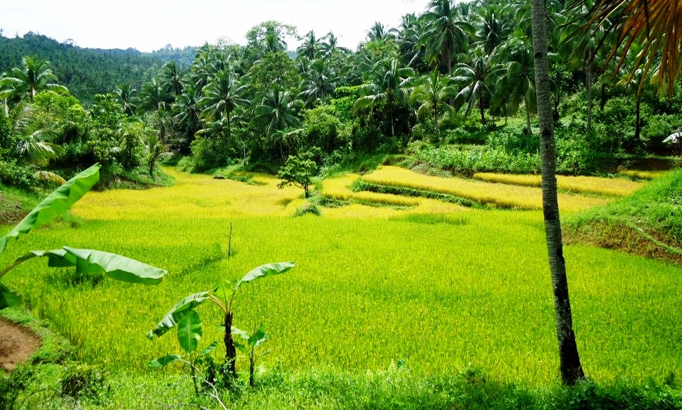 INOPACAN, LEYTE and the INOPACNONS: We have more fun in Inopacan