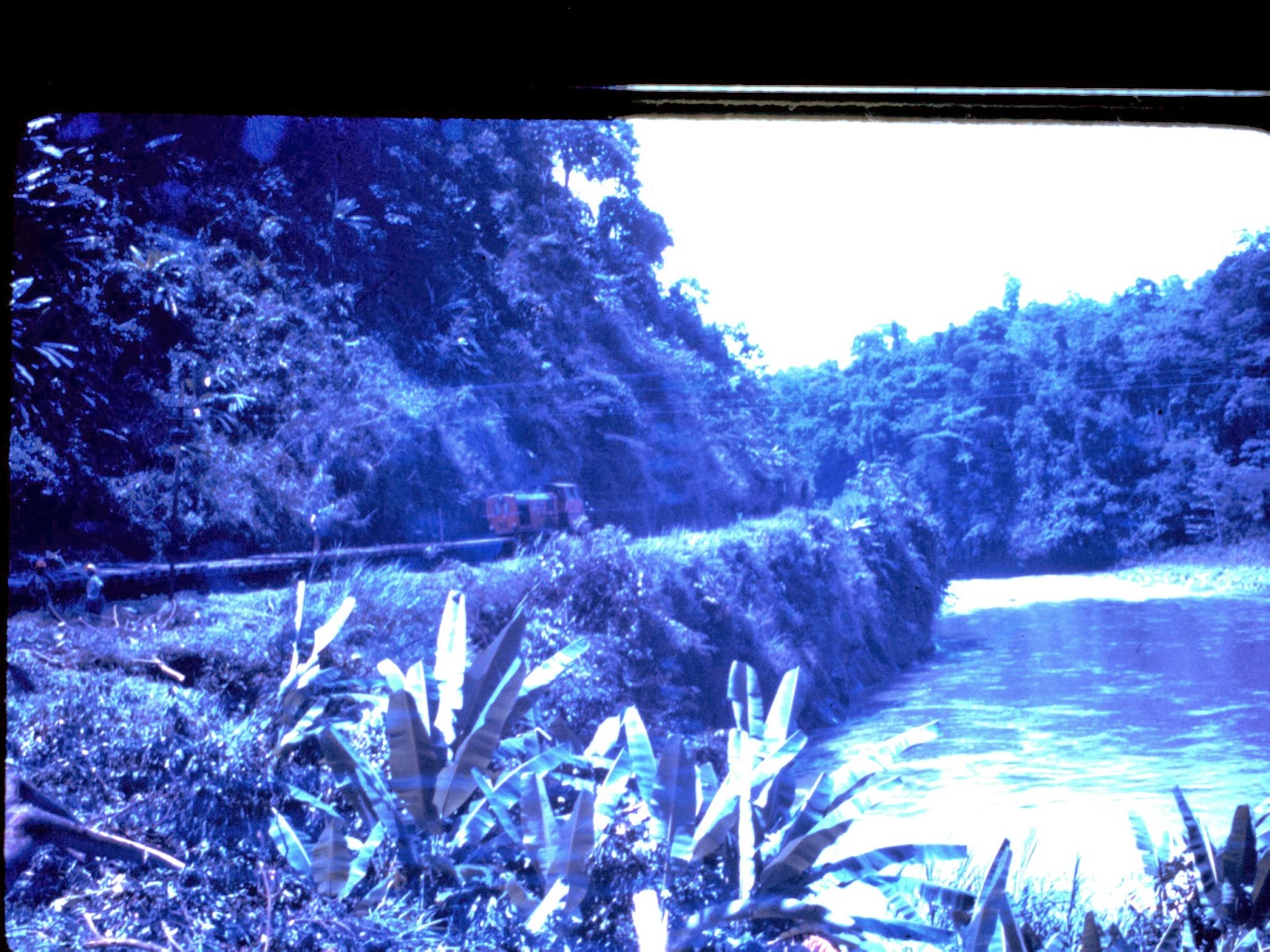 Costa Rica 1977 SBT=StoneBearTracks: Costa Rica Jungle Train to Limon ...