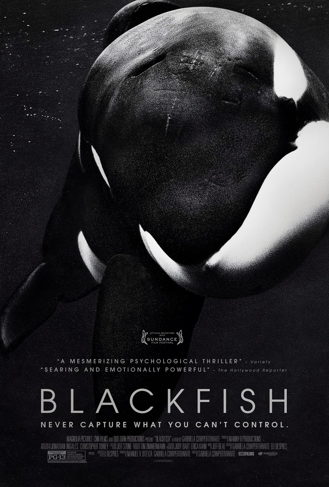 BLACKFISH (2013)