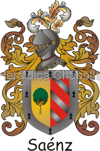 New Castillon 2009: Saenz Crest