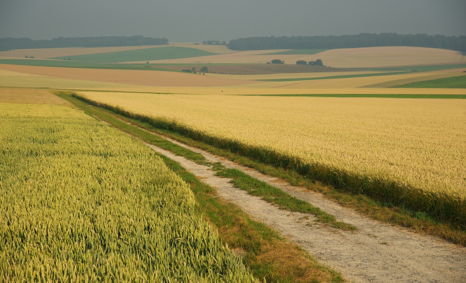 Mes voyages: BALADE MATINALE EN PLAINE PICARDE