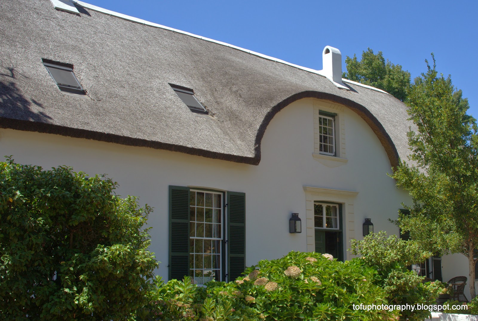 Tofu Photography: Anthonij Rupert wine estate, Franschoek district ...