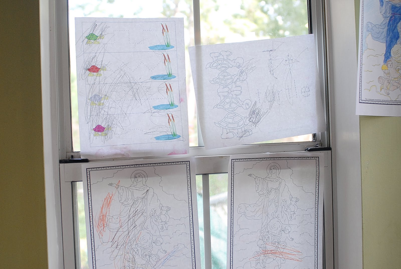 Southern Fried Catholics: Seton Home Study Week 1