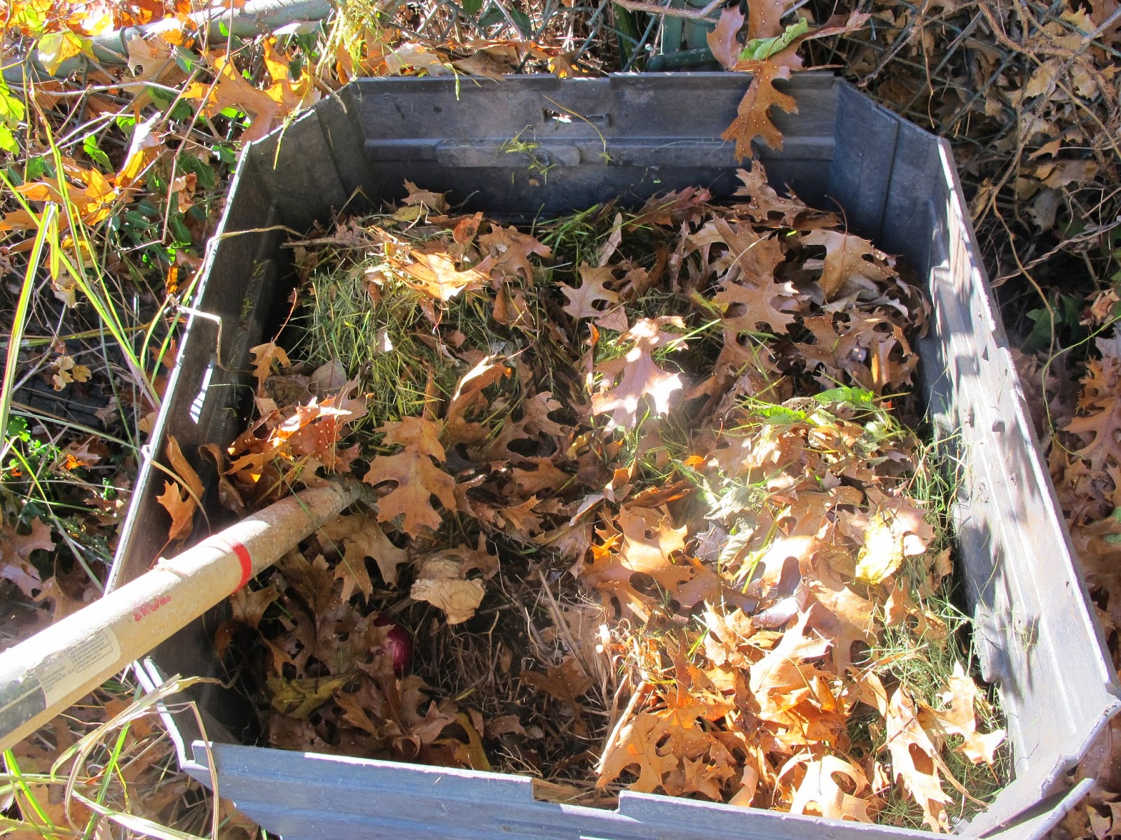 Confessions of a Composter: How to Harvest Compost: A Pictorial