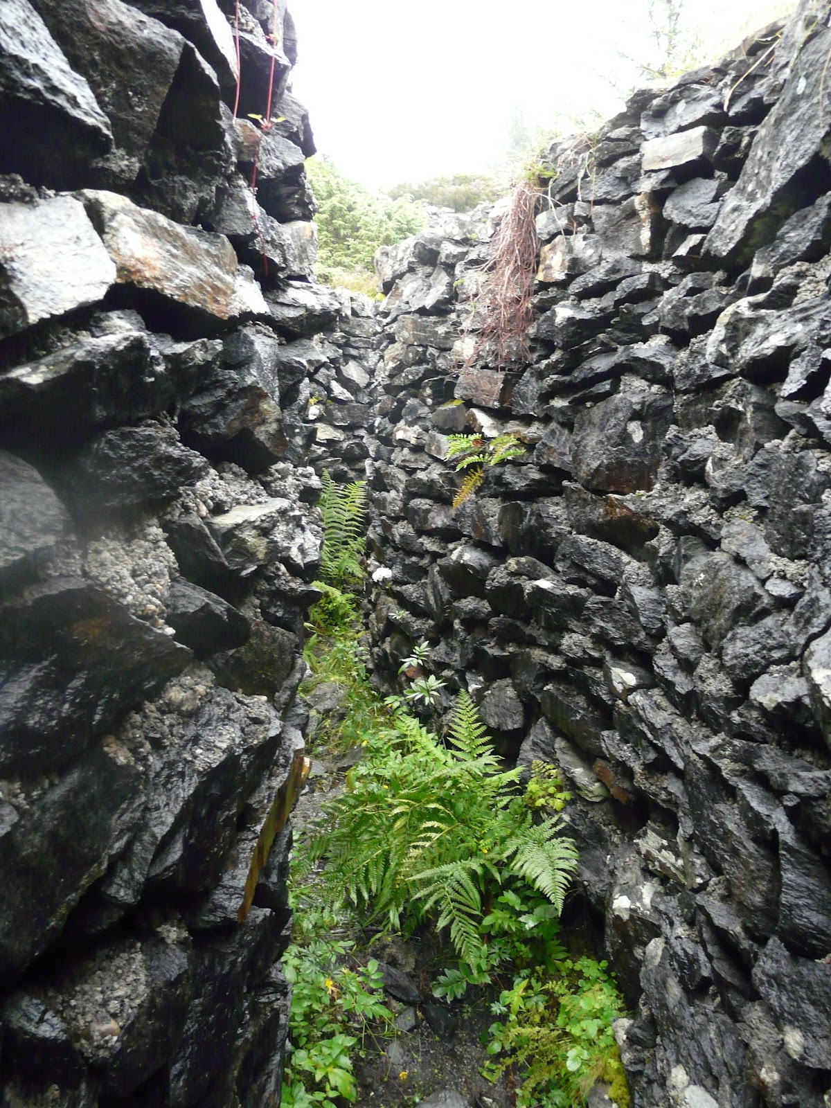 Mr Boot's Axis Blog: Fjell Festning: A Brief Overview 1