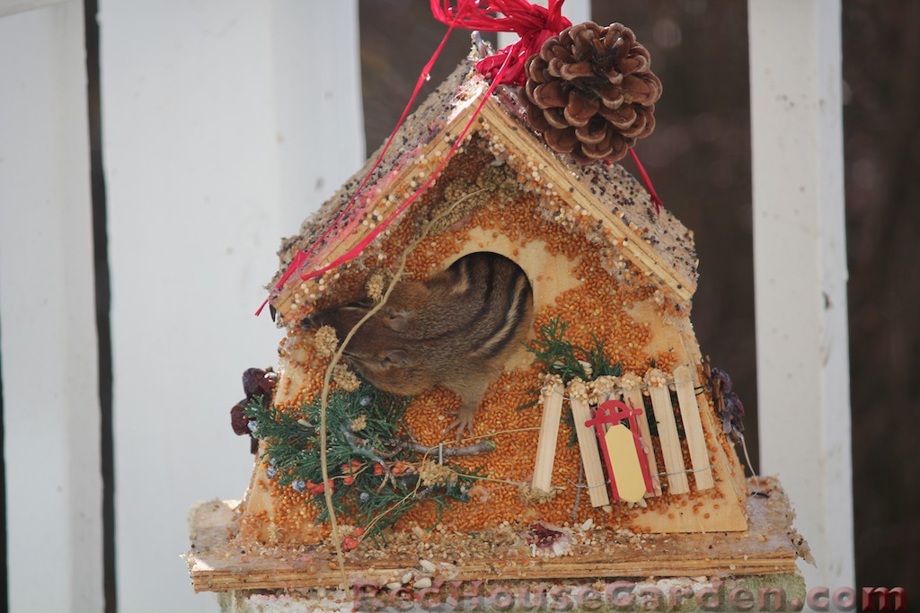 Red House Garden: An Edible Birdhouse