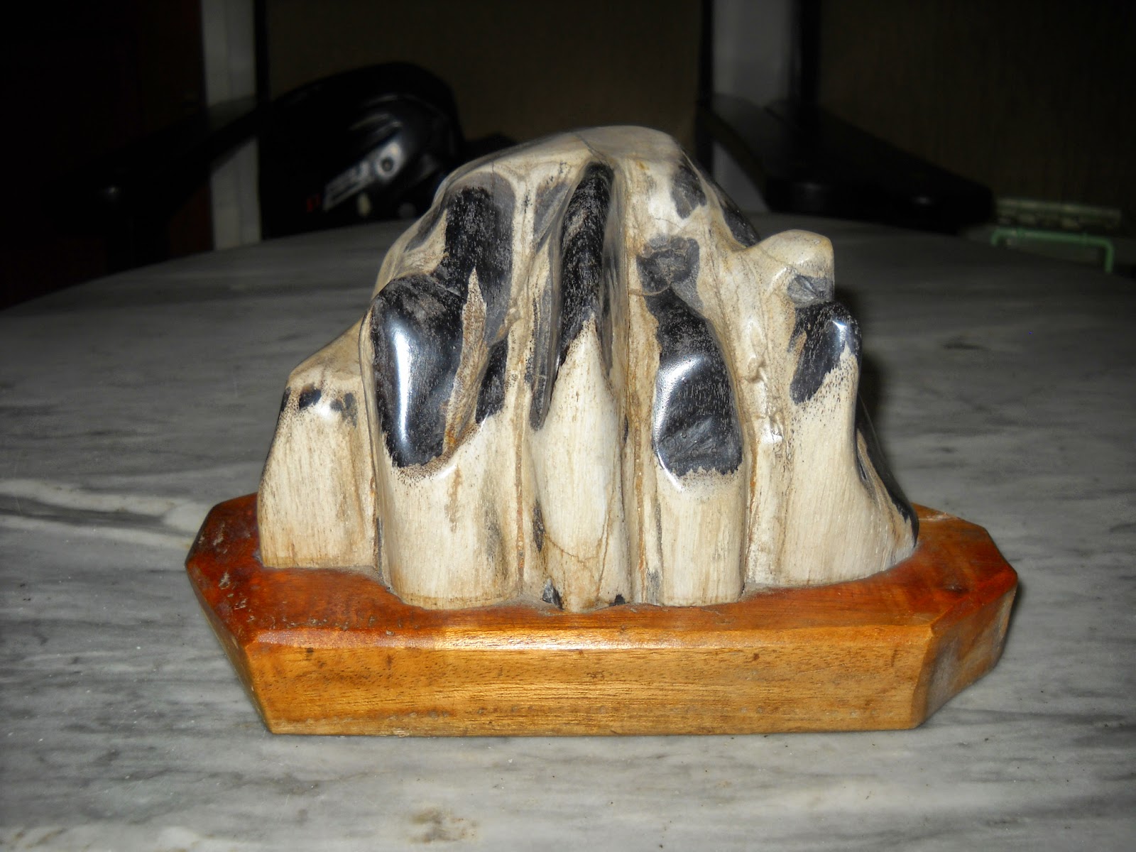 Akik Sepuh: (Ss8) fossil kayu pegunungan