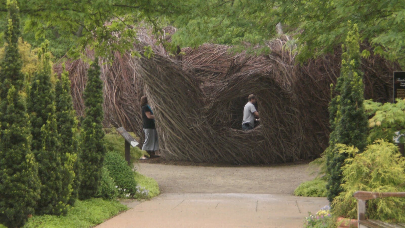 Redbuds and Wrens: Spring Folly