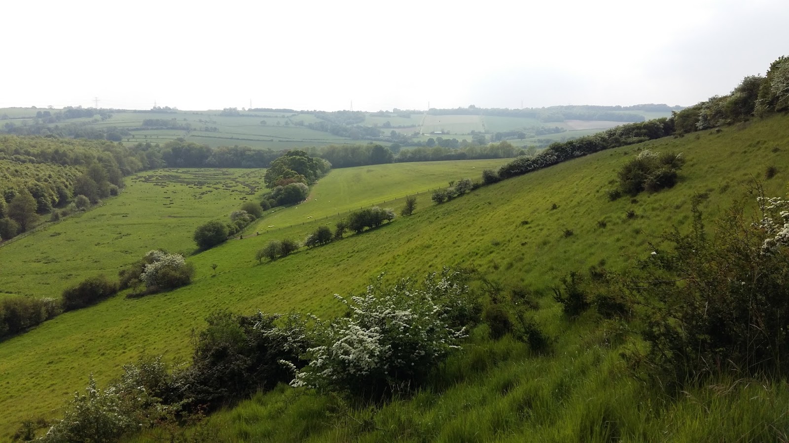 Cotswolds Travel: Shipton Oliffe & Withington Circular
