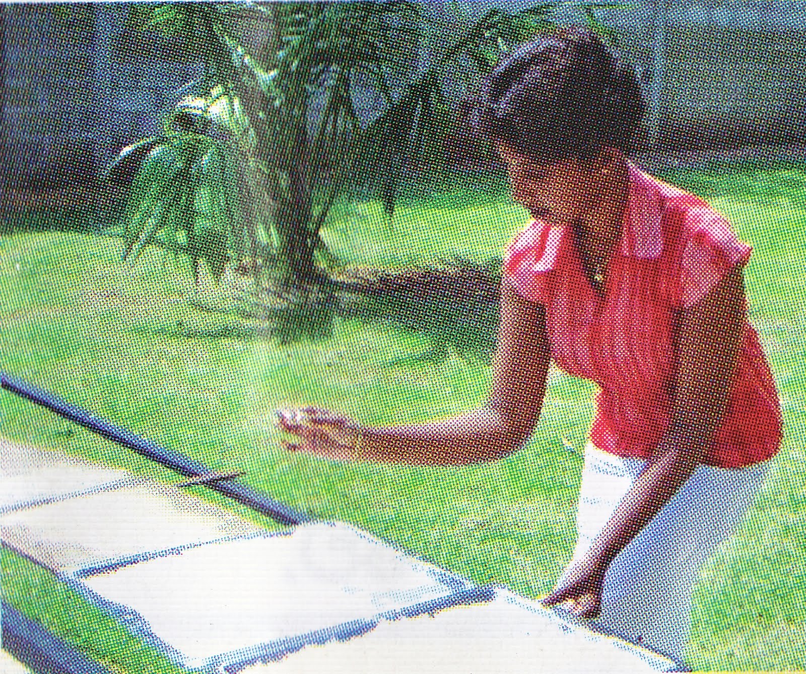 Virgin Coconut Oil Industry.: Production Stages