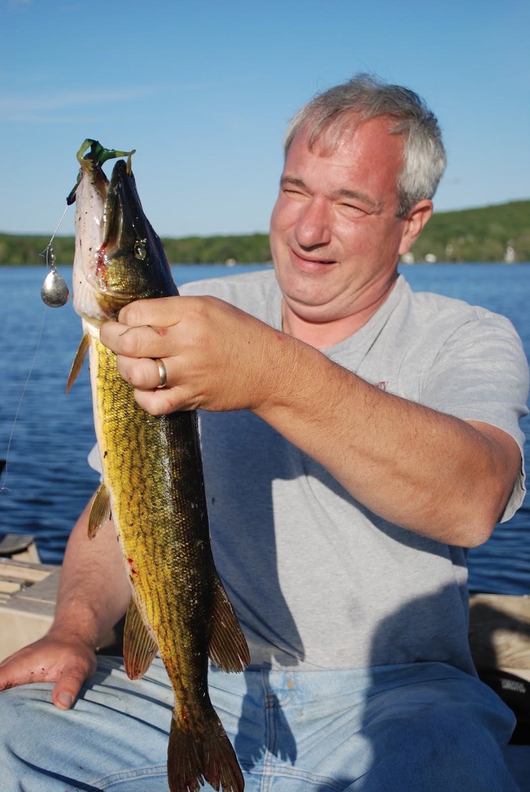 Litton's Fishing Lines: Catch Pickerel on Spinnerbaits: Late Spring ...