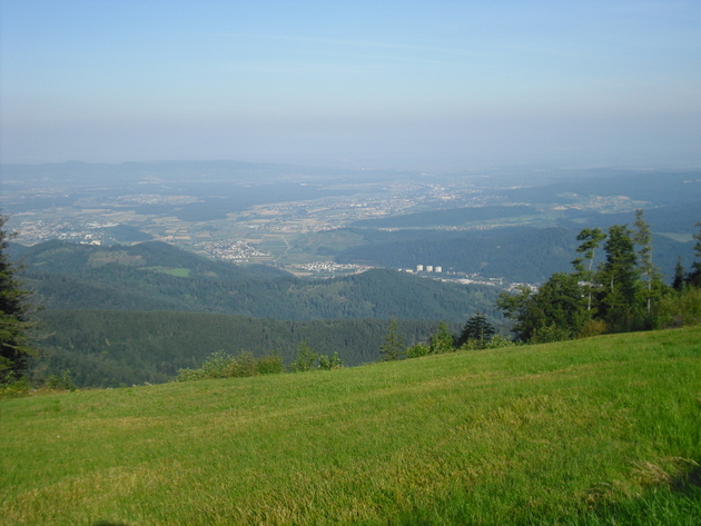 Der Schwarzwald und seine Natur: Kandel, der höchste Berg des Mittleren ...