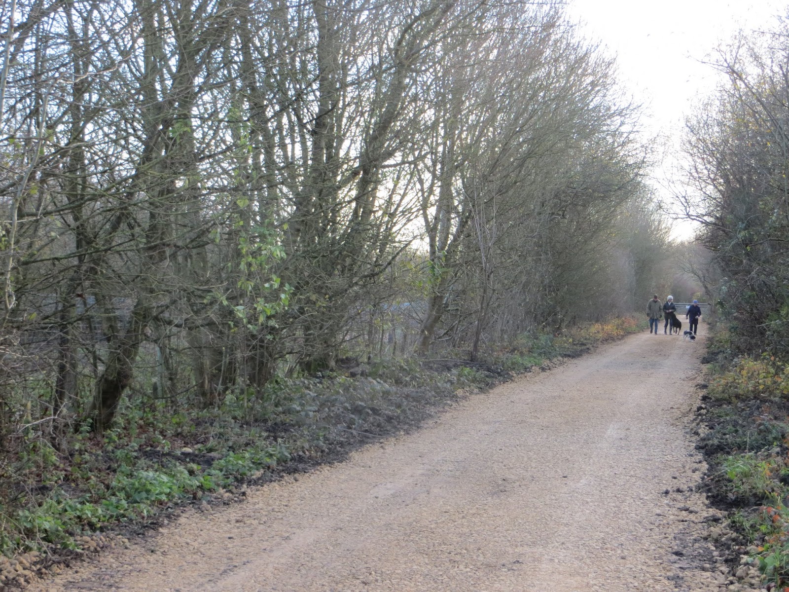 Lower Windrush Valley Project: Improvements to the Windrush Path at ...
