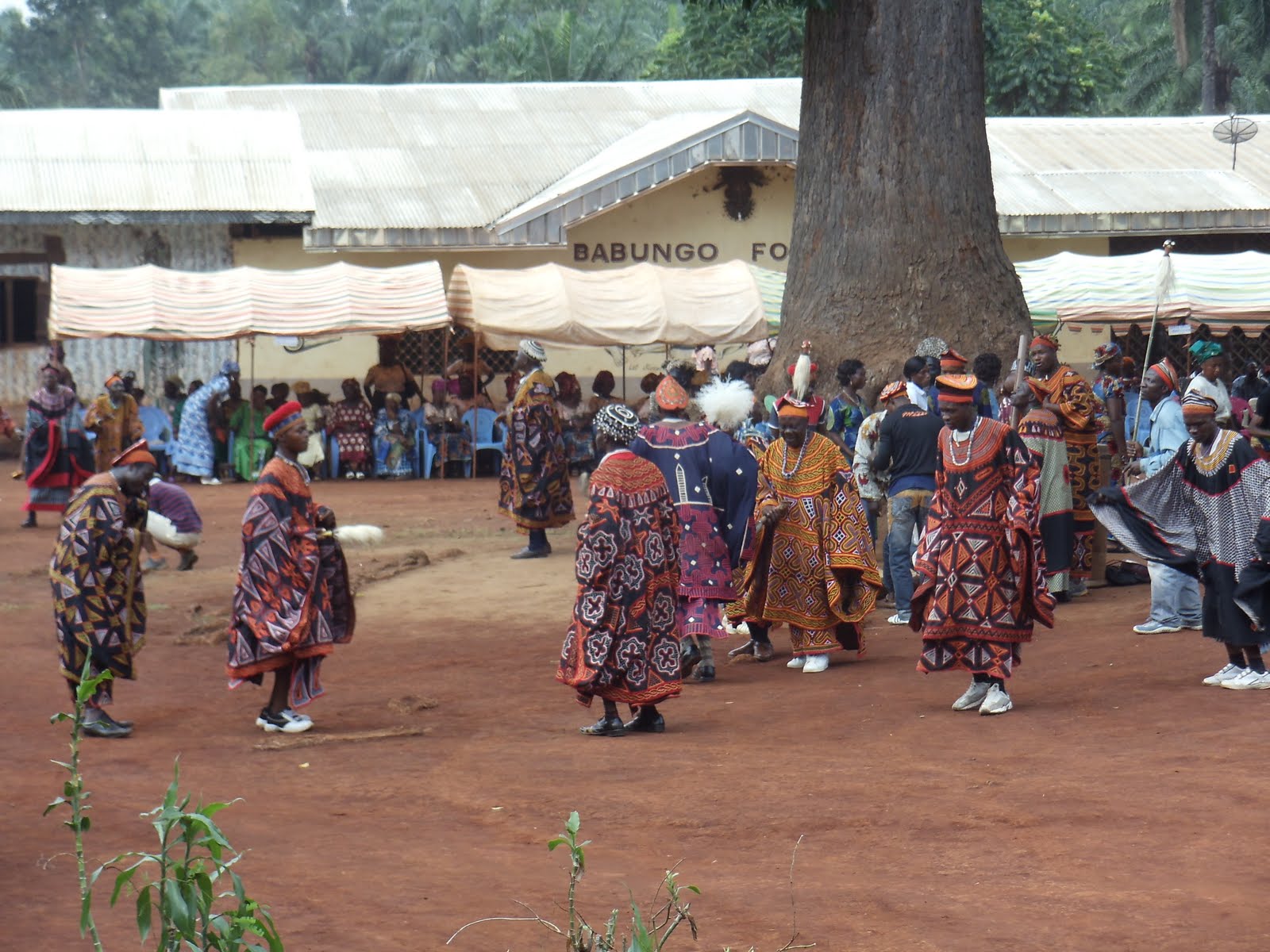 KAYE IN CAMEROON: LIFE IN THE NORTHWEST
