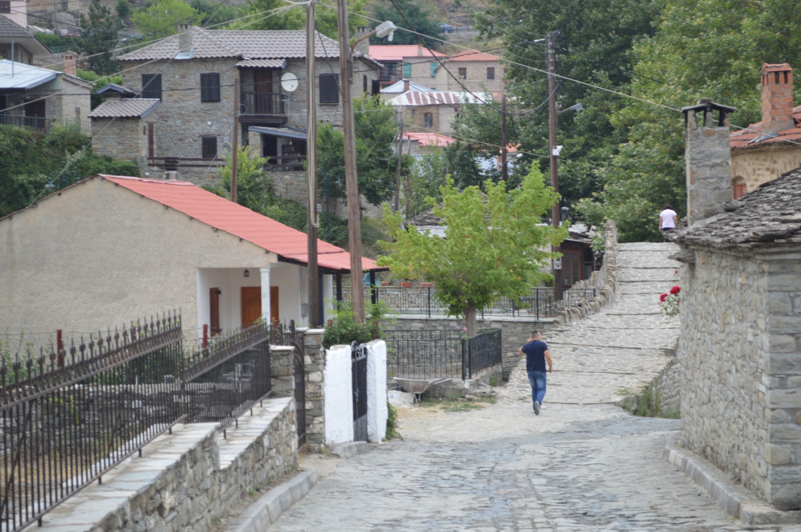 ακρη ελασσονας: Δοτσικο γρεβενων