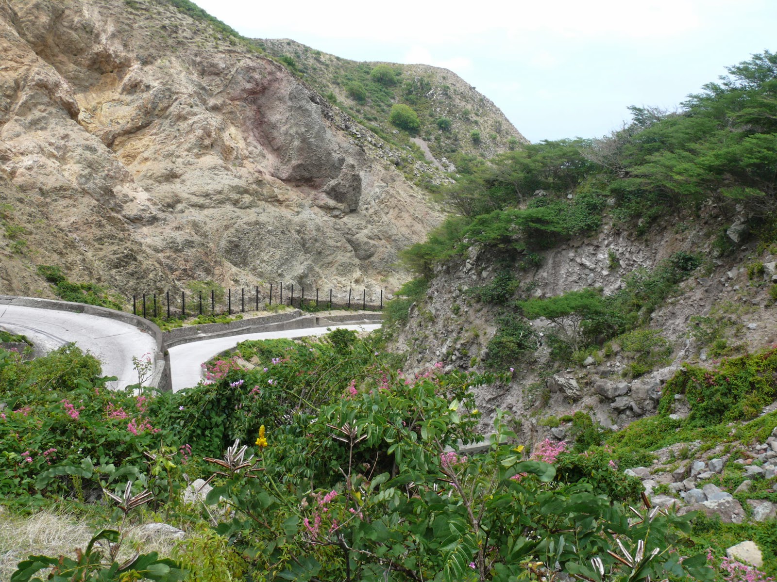 As the Crowe Flies (and Reads!): Exploring Saba From The Bottom, Down