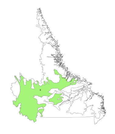 Ecoregions Of Newfoundland New England Ecoregions Shaded Relief Map