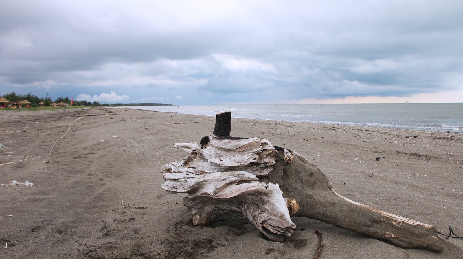 Pantai Tiris (Paris) Surga Tersembunyi Indramayu