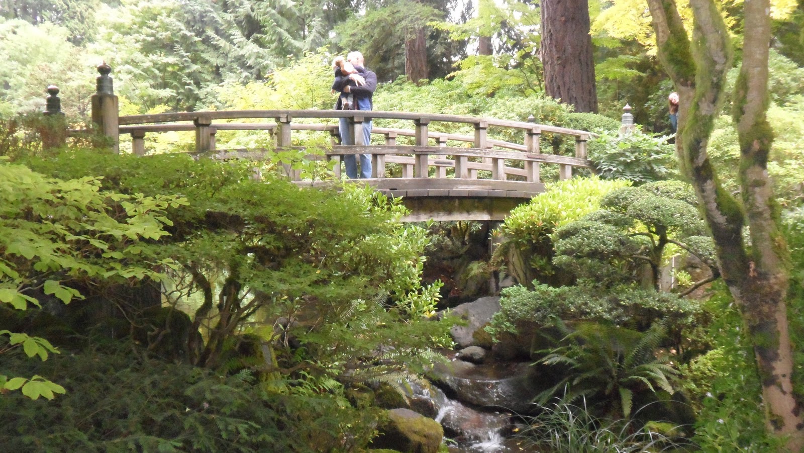 Gingerbread Girl's Quilting Adventures: Multnomah Falls