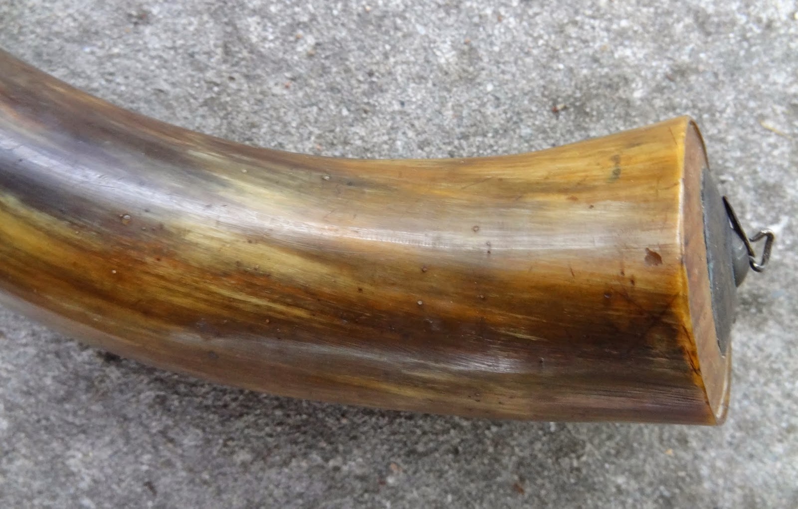 Contemporary Makers: Antique Powder Horn