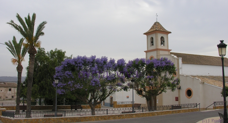 Overa Viva: DEBATE con María Sánchez Castelló. Problemas de Overa y ...