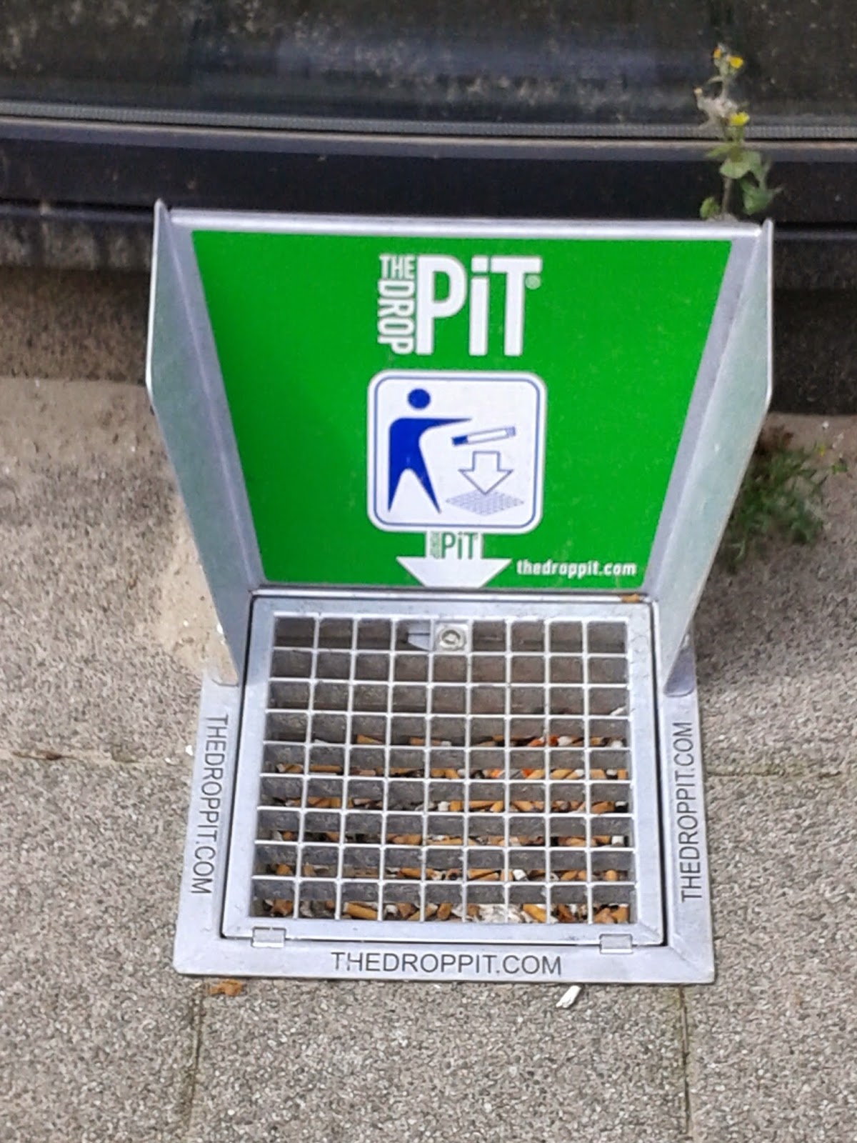 Nick Naumof: Paving the Cow Paths for Smokers