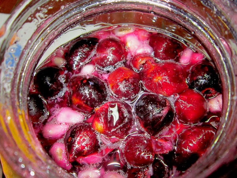 Pés de frutas de montão no quintal! ~ A Rosa na Janela