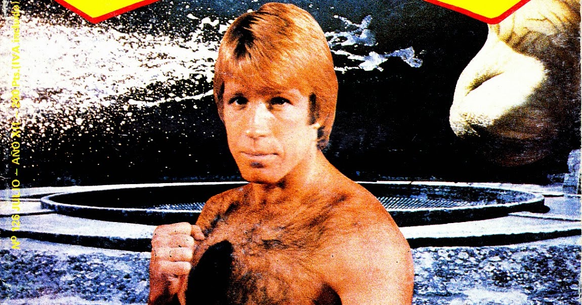 escuela kickboxing adrian perez : CHUCK NORRIS I
