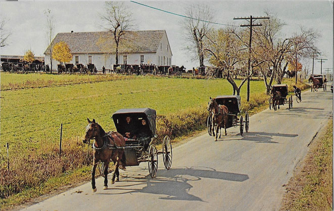 *Postcard Gems: Mennonite Carriages