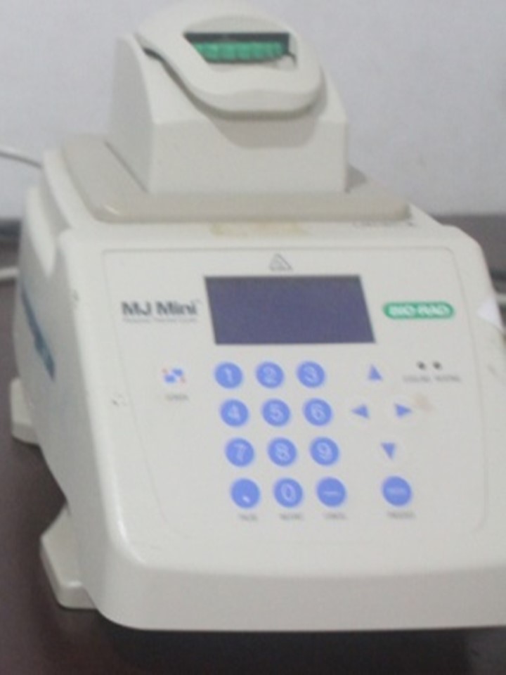 Peralatan Laboratorium Biologi Molekuler - Biochemistry and Molecular ...