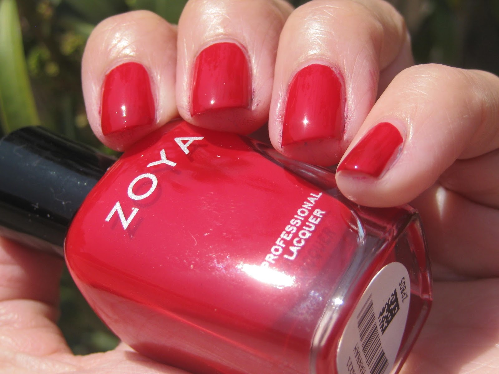 Zoya Fall 2015 Focus and Flair Collections Swatches, Video Review - The ...